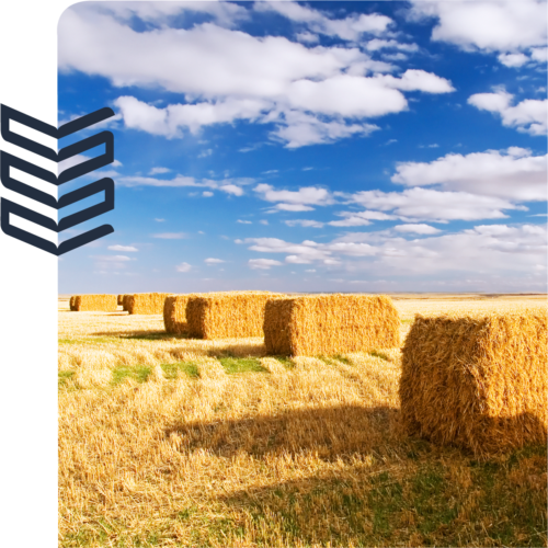 Maximize Biogas Production with Straw: A Powerful Sustainable Solution