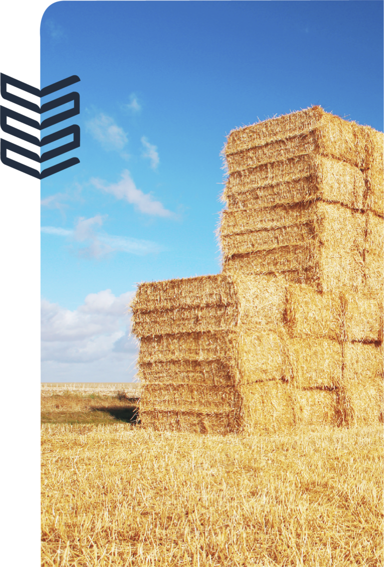 Maximize Biogas Production with Straw: A Powerful Sustainable Solution